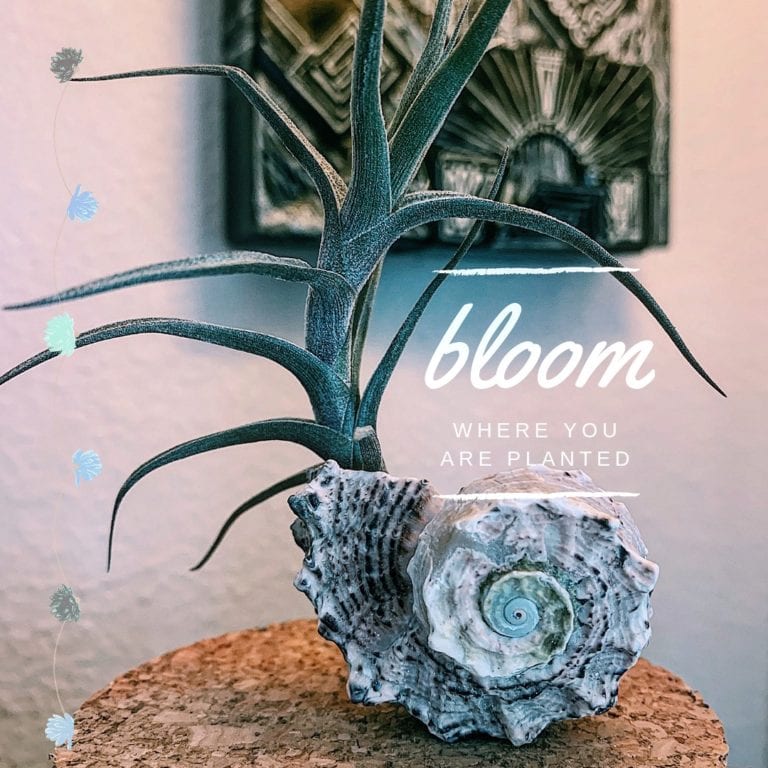 Open to Grace | repertoireartdesign.com